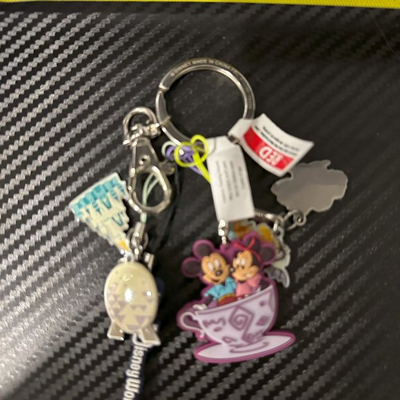 Disney | Storage & Organization | Walt Disney World Charms Keychain ...